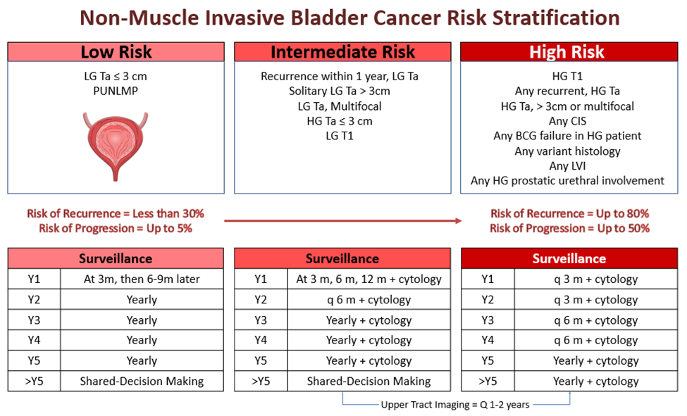 Improving Knowledge of Surveillance Practices in Non-muscle Invasive Bladder Cancer (NMIBC ...